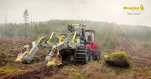 Bracke C16.c silviculture and biomass head - Bracke Forest AB