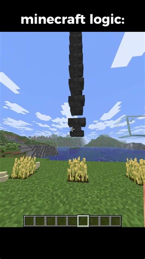 what a relastic logic ! #minecraft #logic #minecraftshorts #minecraftsurvivalseries100days