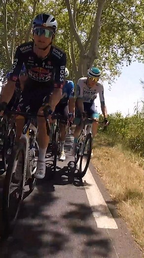 15K views · 279 reactions | Jump inside the peloton for a fierce Stage 16 sprint  Watch Tour de France on-bike race highlights on Road Code: https://goto.roadcode.cc/rcfb | Road Code | Facebook