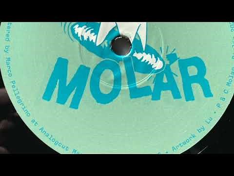 Infinity Plus One - Struggle Is A Constant [MOL04]