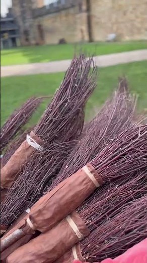 Harry Potter Broomstick Flying Lessons at Alnwick Castle! #harrypotter #wizardingworld