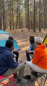 318K views · 4.2K reactions | Pug prank. | Grace Farm Senior Pug Sanctuary | Facebook