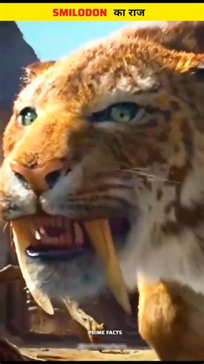 Smilodon | which was the most powerful predator of its time