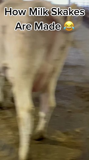 How Milk Shakes Are Made: Revealing the Process!