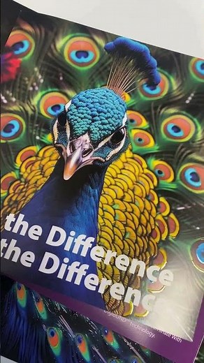 Duplo & Nobelus Peacock Trifold Application with #spotuv and #softtouch #duplo #print #printing