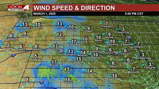 Here's a look at your current conditions around the area. They include current temperatures, winds, wind chill/heat index, satellite and radar, and visibility. | Local4 Weather | Facebook
