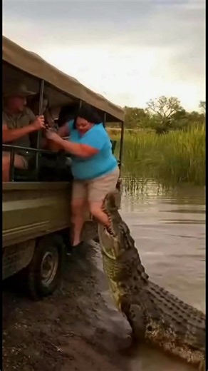 A Huge crocodile 🐊 caught a female tourist | Jhonjhony
