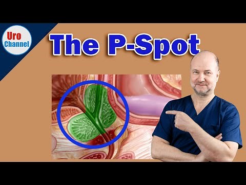 Prostate massage for prostatic orgasms scrutinized | UroChannel
