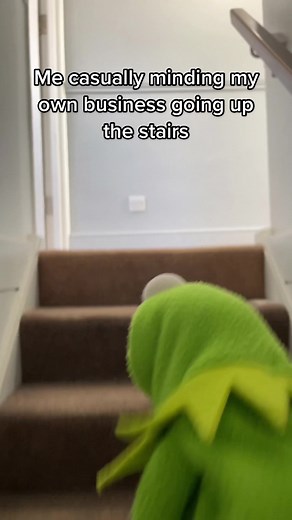 Hilarious Frog Quotes: Girlfriend Slapping Boyfriend Compilation