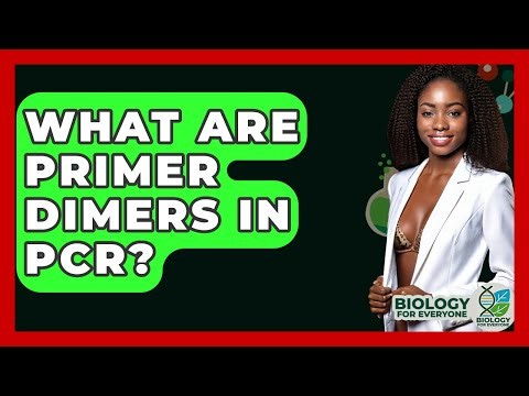 What Are Primer Dimers In PCR? - Biology For Everyone