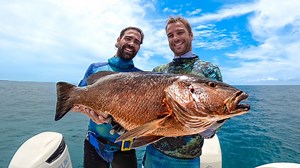 23K views · 430 reactions | Spearfishing Success with Teamwork! | Back 2 Basics Adventures | Facebook