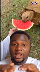 68K views · 4K reactions | Why Tortoise live so long | SciTutor Neche | Facebook