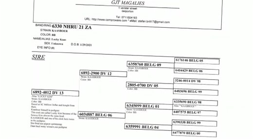 1.4K views · 183 reactions | Samuel Lofts Journey: A good start for Samuel Lofts, scoring 2nd Club at Unitas Club. | Samuel Lofts | Facebook