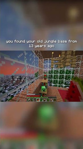 just up in the trees with a great view