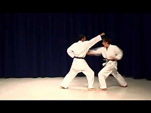 Shotokan Karate Syllabus First Belt Requirements