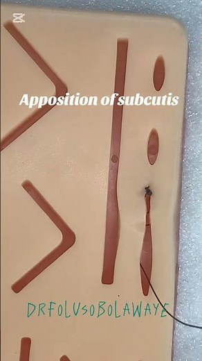 Continuous intradermal suture pattern #apposition #subcuticularsuture #vetsurgeons #vetschool