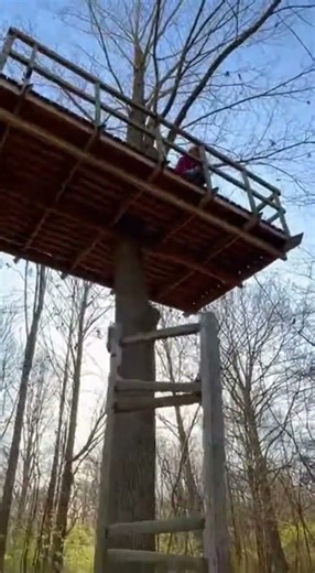 Epic Treehouse Collapse Caught on Camera #Disaster #TreehouseCrash