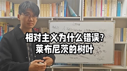 ［小逻辑50］世界上有相同的两个东西吗?世界上有不同的两个东西吗?差异性、等同、不同。