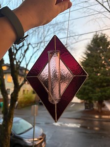 Plant Propagation Station - Etsy Australia