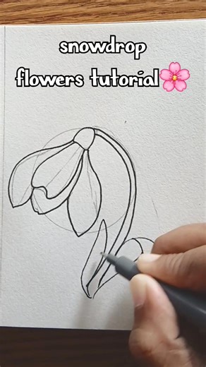 Easy to draw a snowdrop flowers for beginners -step by step🌸 . #drawing #art #drawingtutorial #lineart #flowersketch #fyp #reels #globalreels #beautifulflower | Amara Khansa Niaarts