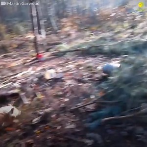 4M views · 23K reactions | Amazing! They would do anything to be free.  | Sentient | Facebook