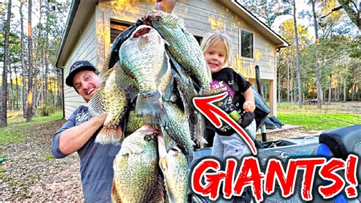 Giant winter crappie are too easy on live Livescope