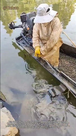 "Genius Farmer's Film-Based Snail Breeding Method – Harvest with Just a Shake! 🐌 #AquacultureHacks"