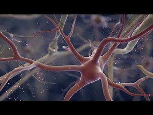 Microglia and Neuropathic Pain Plasticity