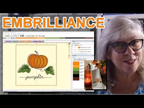 Mastering Embrilliance: How To Easily Change A Purchased Design For Beginners