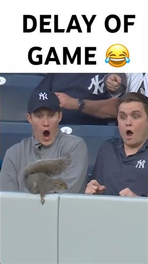 delay of game.. 😂