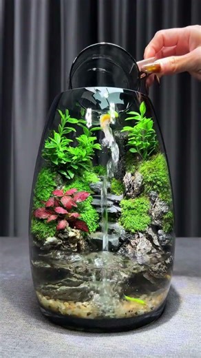 Unveil the Hidden Spring: Embrace Nature's Embrace