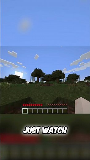 Minecraft New World Swamp Biome, Sheep Shearing & Recipe Unlocked! #minecraft