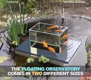 3.4M views · 52K shares | Floating Fish Observatory :O This looks awesome! | Cool Gadgets Concept | Facebook