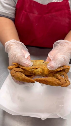 SOFT SHELL CRAB SEASON 😮‍💨🦀🔥 Come get the freshest soft shell crabs deep fried to perfection here at Crab & Claw Seafood! We’ve got tons of super heavy, plump, jumbo sized softshells at the peak of the season. Cleaned, battered, and fried - they are ready to be enjoyed as a sandwich or on their own with a side of our tartar sauce 🤤👌🏼 📍7801 Ogontz Ave, Philadelphia, PA 19150 📲 215-424-4884 #crabs #softshell #softshellcrab #seafoodlover #phillyeats #seafood #crabandclawseafood