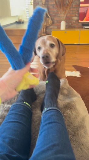 Houston, wir haben ein Problem! 😆 | Pluto & Junior