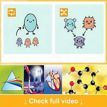 NCERT Class 10 Science Ch 7 - How do Organisms Reproduce? #Shorts #NCERT #Science #Biology #UPSC