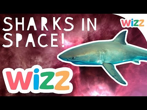 Sharks in Space For Kids