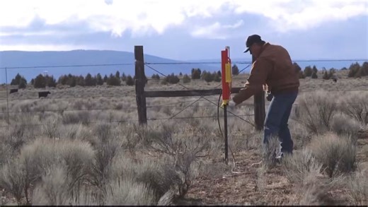 We’re tackling Monday one t-post at a time 😎💪🏼 www.rohrermfg.com #mansaverpostdriver | Man Saver Post Driver