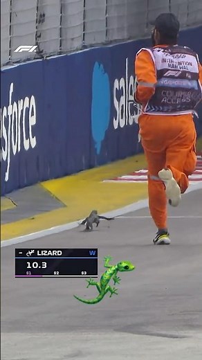 🦎 We Will NEVER Forget The Singapore Lizard 🦎