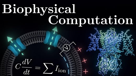 The Core Equation Of Neuroscience – Lifeboat News: The Blog