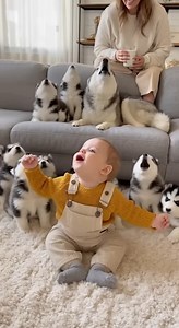 Watching him try to howl with his husky friends is pure joy! 🥹 Who do you think has the best howl? Let us know! 👇 Like and Follow for more heartwarming moments! ❤️ #husky #huskypuppy #babyanddog #cutebaby #dogsofinstagram #siberianhusky #puppies #doglover #petsofinstagram #adorableanimals #babiesofinstagram #cutenessoverload #familygoals #doglife #howlinghusky #viralvideo #reels #petfamily #happybaby #animalfriends | The Political Pulse