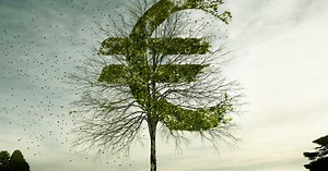 Le Chiffre de GEO: la conservation des espèces reçoit 73 millions d'euros annuels, loin derrière la recherche spatiale