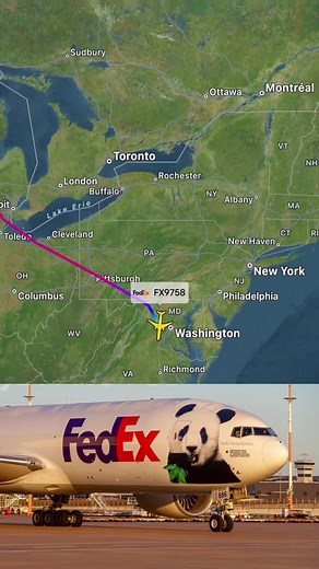 Giant Pandas Returning to China on FedEx Panda Express Flight