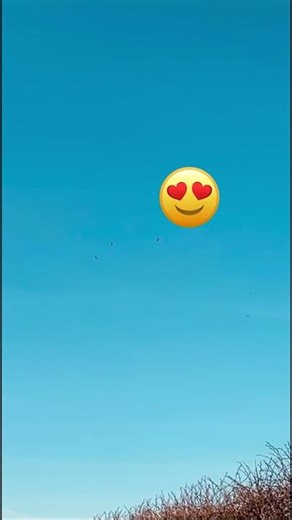 Spring is a-springing and Buzzards are a-buzzing. Very chilled soundtrack - The Buzzard & The Crow