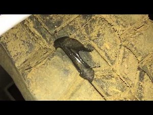 Aquaseal muck boot repair