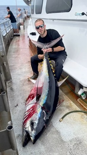 10K views · 183 reactions | 125’ Jamaica 8/28- another good Offshore Tuna tripWe caught 50 to 80 pound yellowfin tuna plus, a 220 pound big eye.We still have space on our newly added tuna trip for next Wednesday 9/6. Please check out the website at www.bigJamaica.com to book your trip #fishing #fish #boat #boats #tuna #bigeyetuna #yellowfintuna #mahimahi #outdoors #outdoor #charterboat #familyfun #offshore #canyon | 125' Jamaica | Facebook