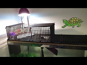 DIY Turtle Basking Area