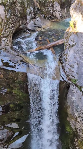 #nationalpark #naturetok #waterfalls #wilderness #january Mt Rainier adventure with family sister Angie ❤️