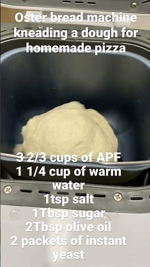 Oster Bread Machine homemade pizza dough