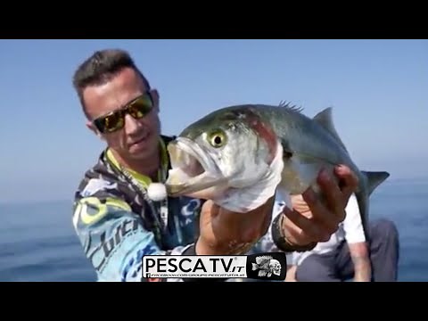 Tecnica di PESCA al PESCE SERRA in Mare dalla Barca